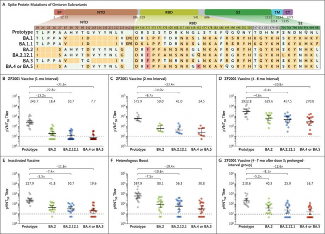 高福团队：应对BA.4和BA.5等变异株，需更新的加强疫苗-健康时报